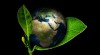 Christian Environmentalism - A Biblical Worldview Perspective on You ...