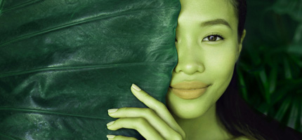 Ransom and the Martial Spirit in Perelandra